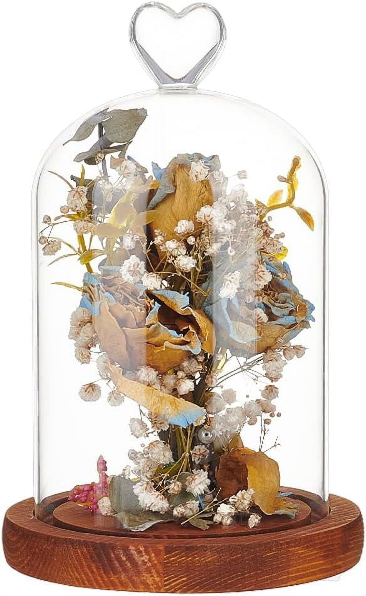 7.7x3.8 Inch Glass Display Dome with Base Cloche Glass Dome with Heart ...