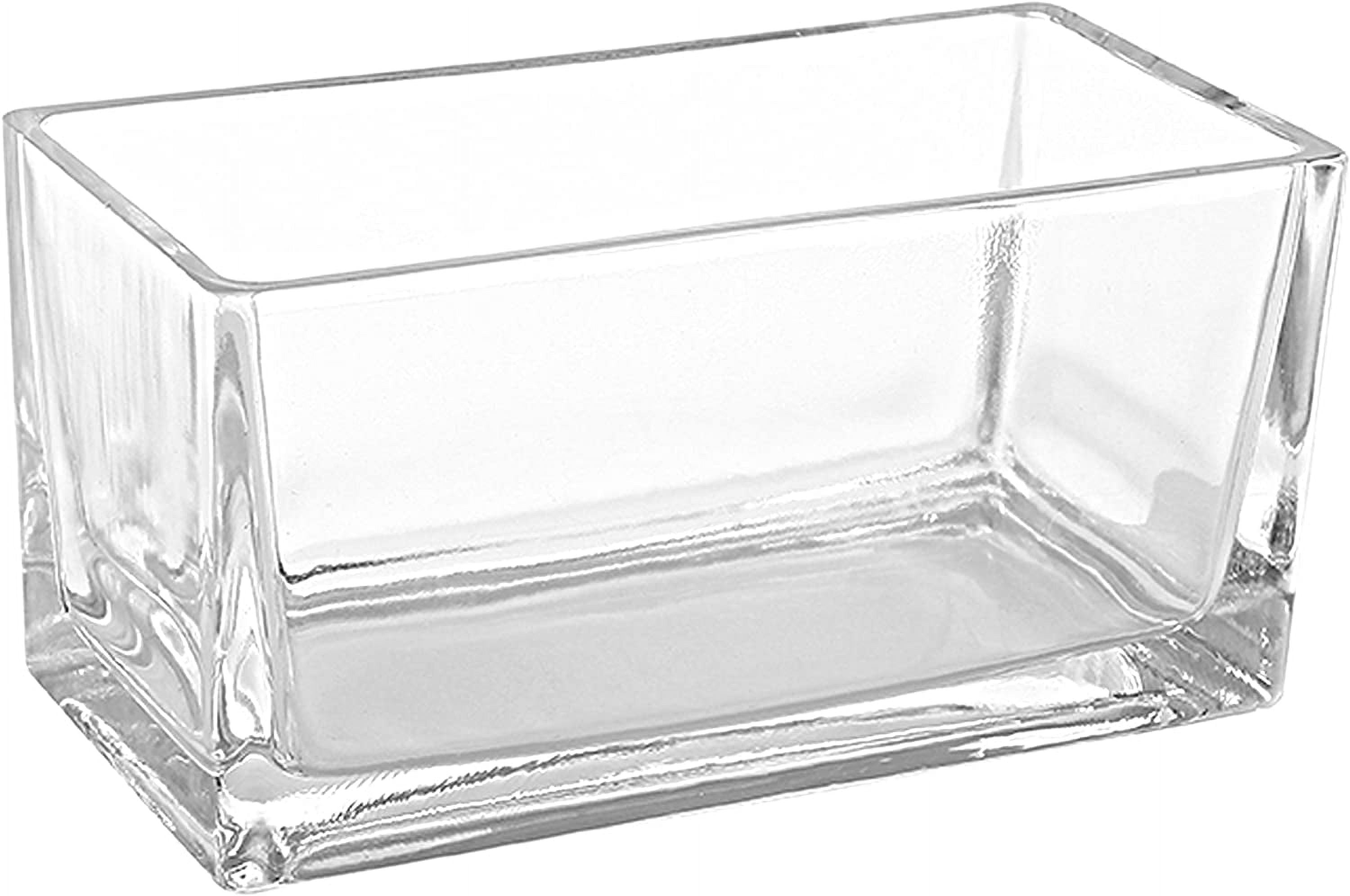 7.8 inch Modern Rectangular Glass Vase, Trough Planter, Tabletop Glass ...