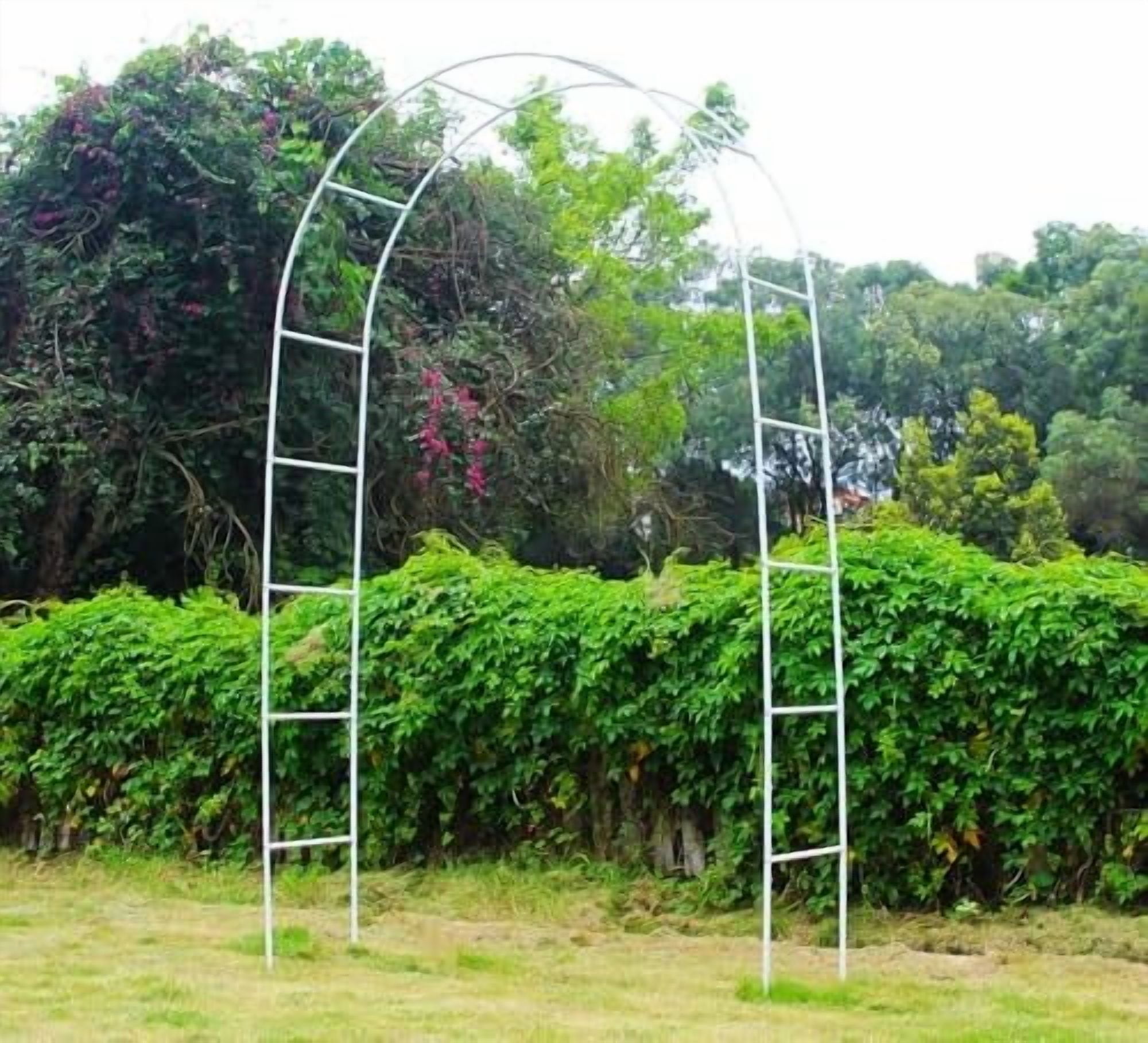 7.9 Ft H x 4.6 Ft W 2 Pack Metal Pergola Arbor,Assemble Freely 3 Sizes ...