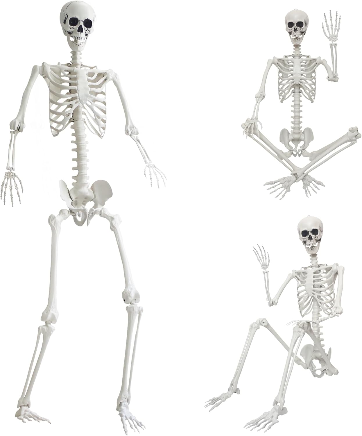 7.9ft/240cm Giant Skeleton Halloween Skeleton Life Size Skeleton ...