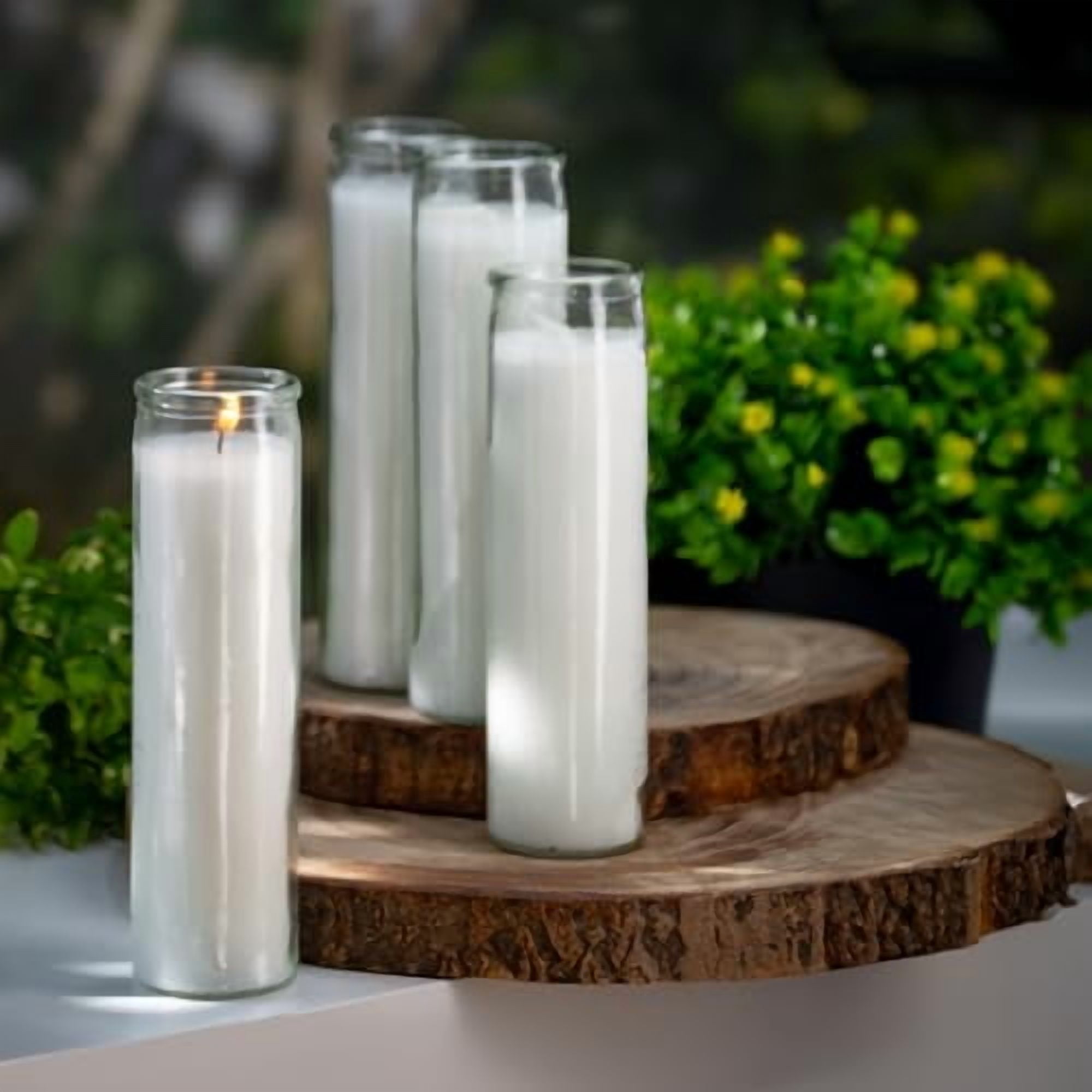 7-Day White Candles – 3-Pack of Unscented Devotional Candles in Clear ...