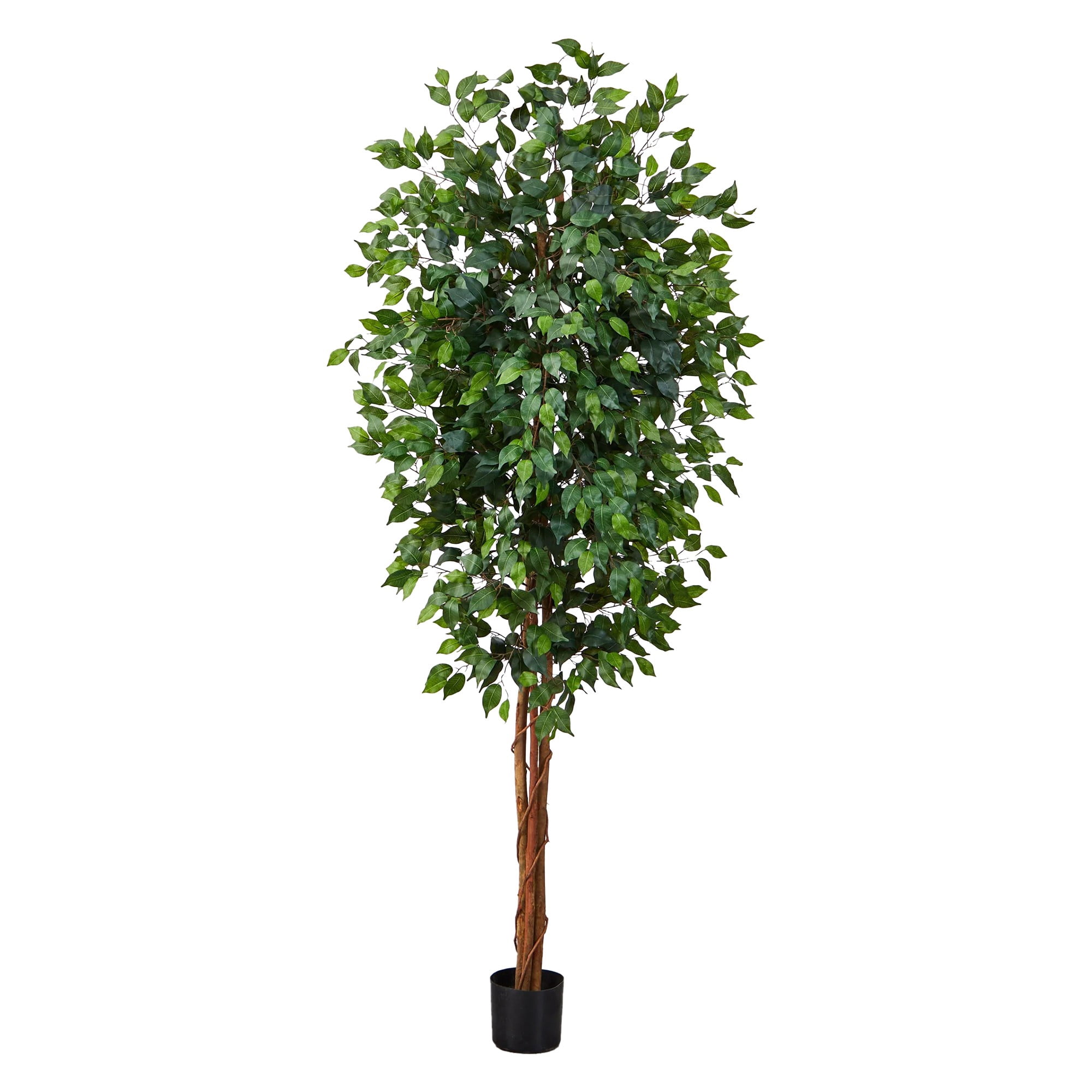 Nearly Natural, 7‚Äô Ficus Silk Tree, 1260 Leaves, Verdant Deep Green ...