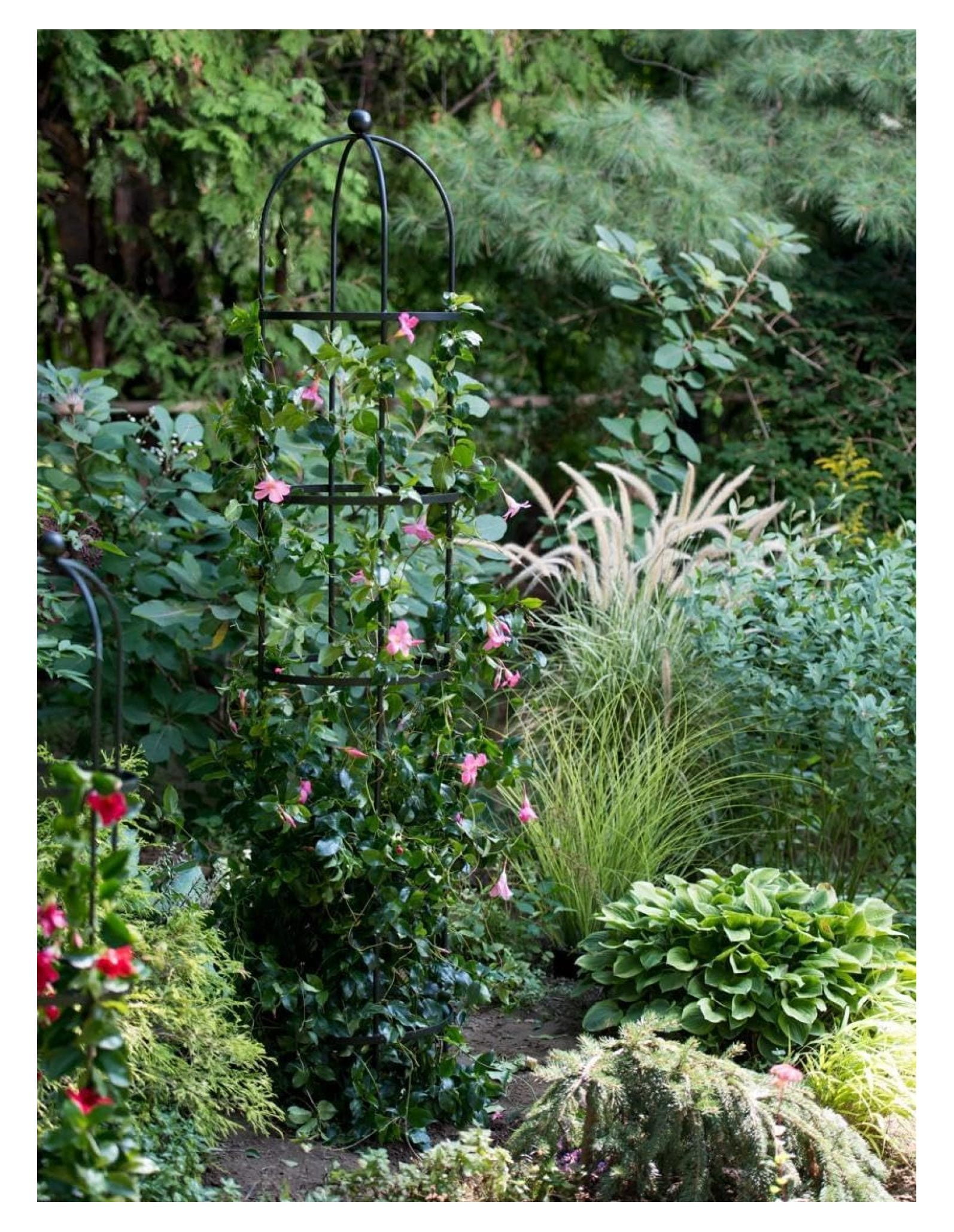7 Ft Essex Round Trellis | Sturdy Powder-Coated Steel Freestanding ...