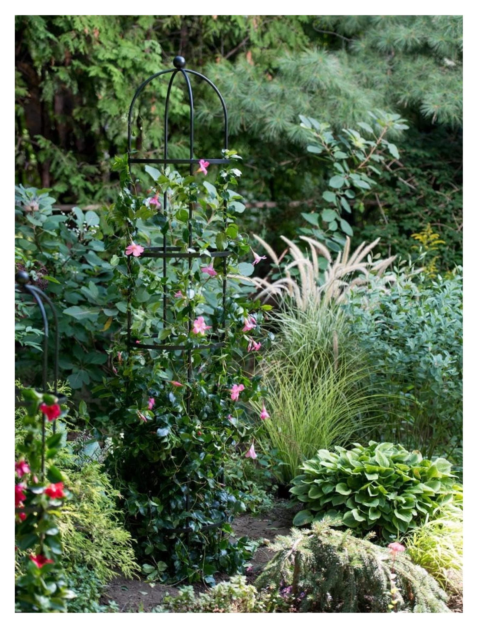 7 Ft Essex Round Trellis | Sturdy Powder-Coated Steel Freestanding ...