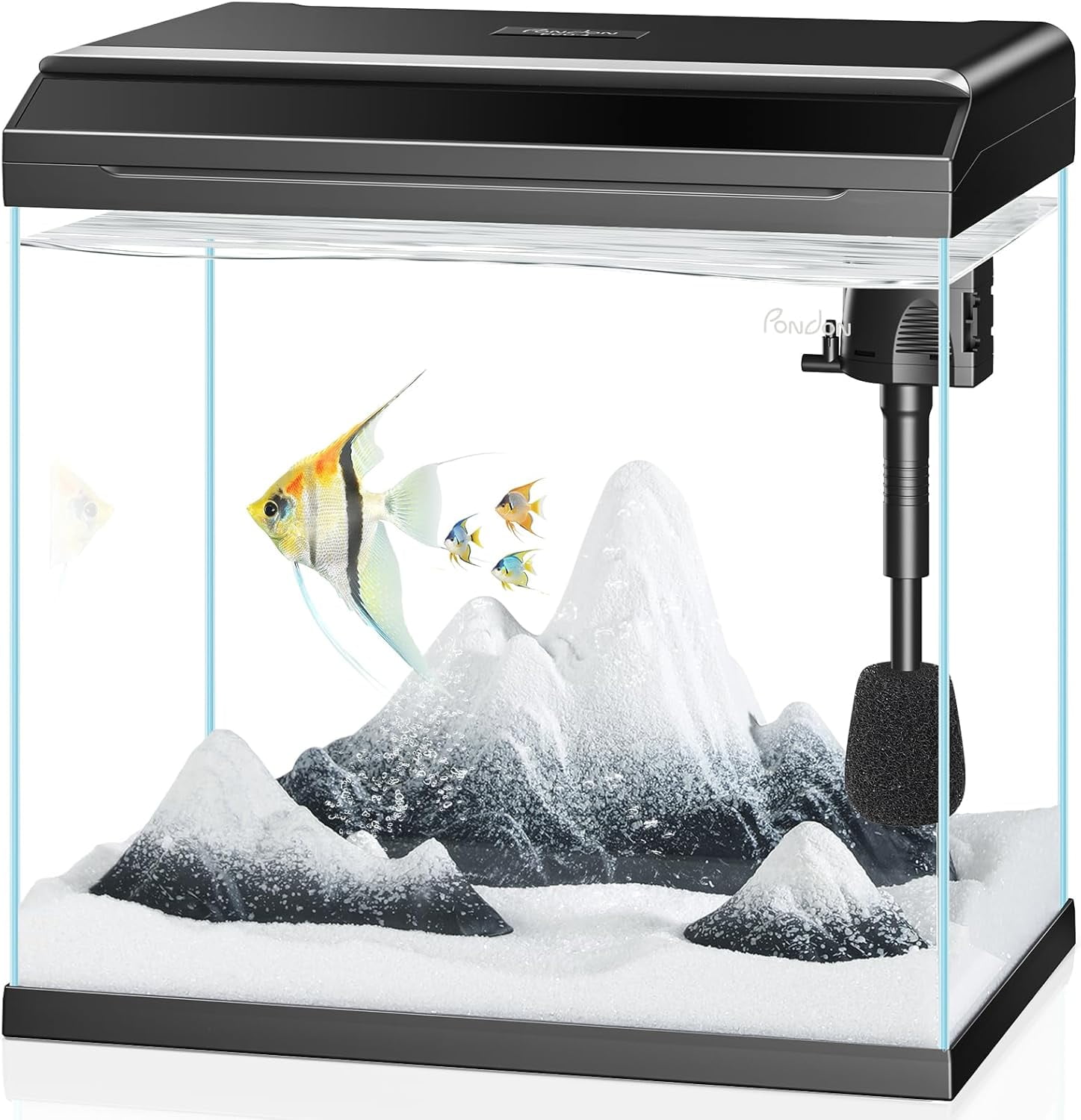 7 Gallon Fish Tank with Detachable Lid, Low-Iron Glass Aquarium Starter ...