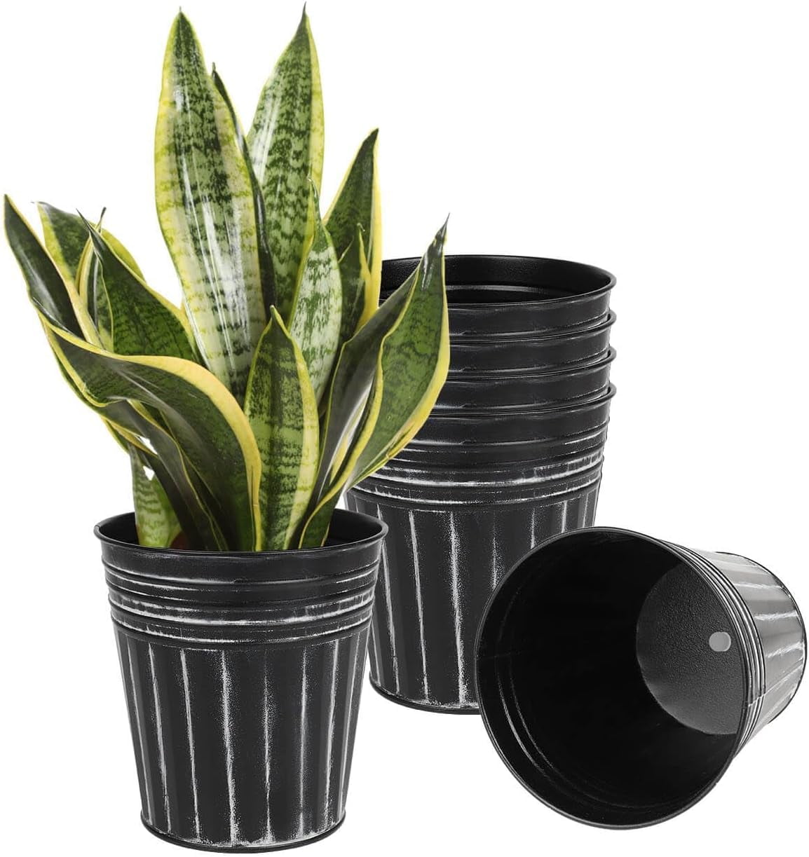 7 Inch Black Metal Rustic Flower Pots - 6Pcs Medium Galvanized Planters ...