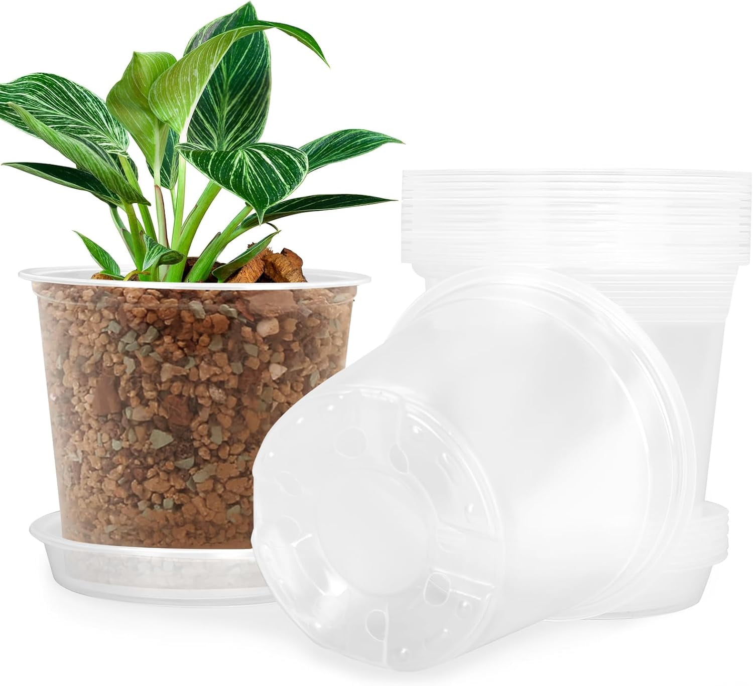 7 Inch Clear Nursery Pots for Plants with Sacuers 15 Pack, Plastic ...