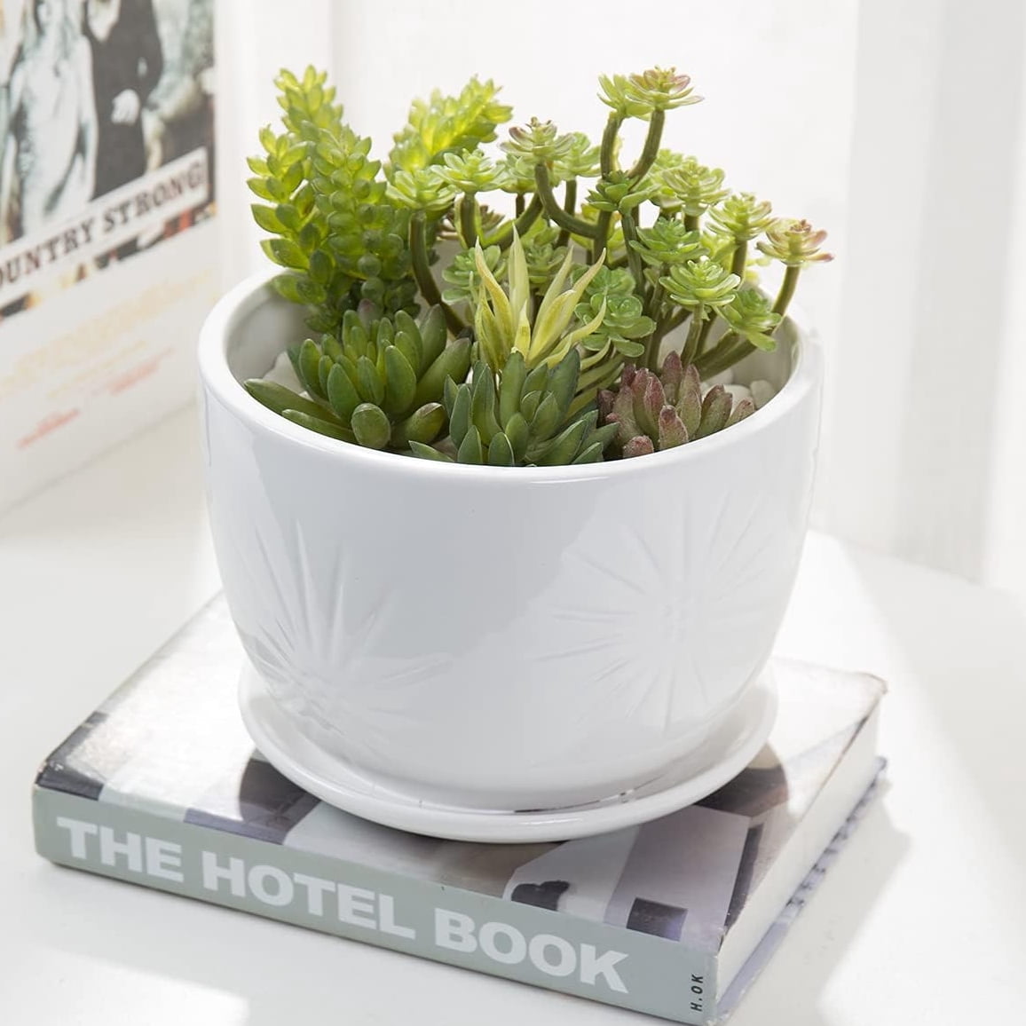 7 Inch Round White Ceramic Plant Pot with Drainage Hole and Attached ...