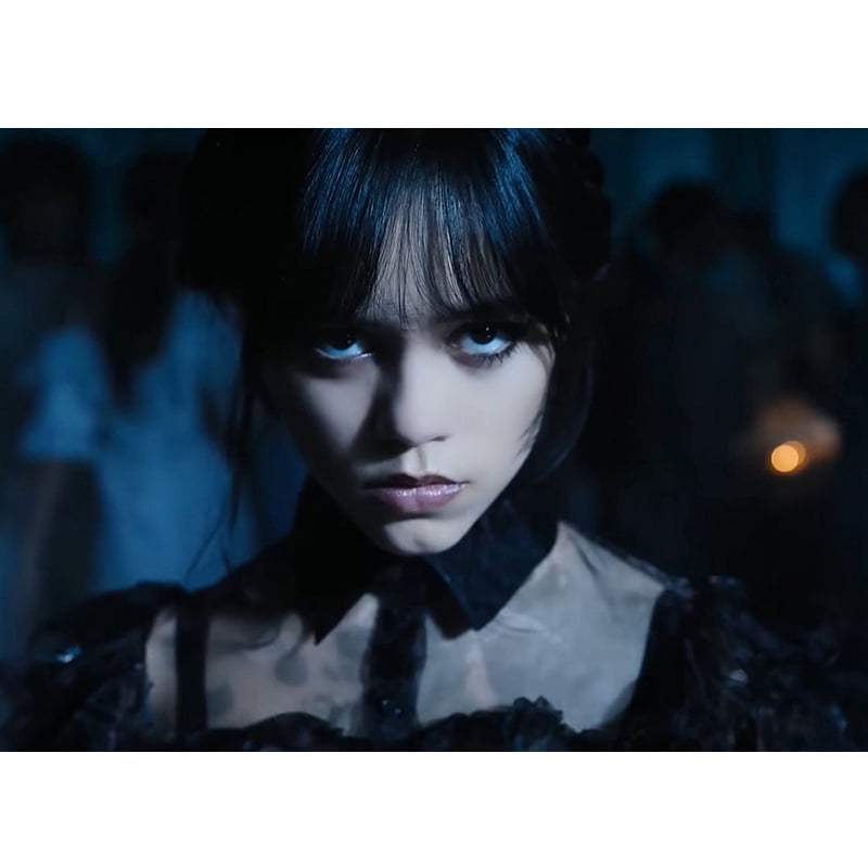 7 Options Wednesday Addams Backdrop Kids Birthday Photography ...