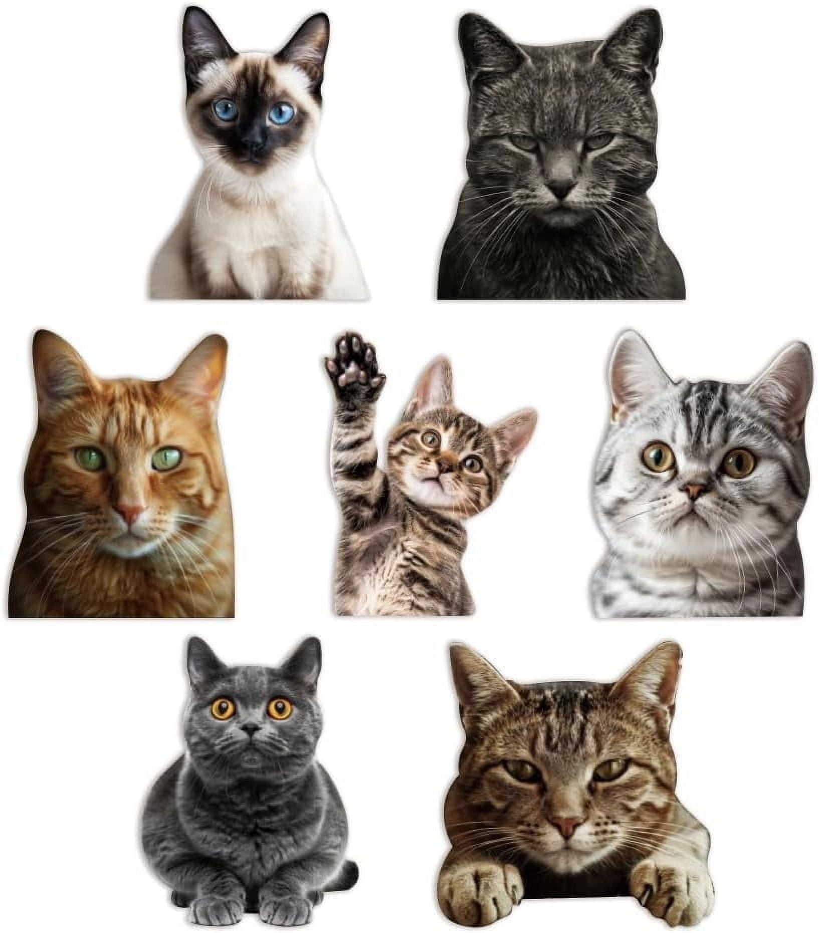 7 Styles 3D Cat Decal Siamese Car Stickers 3D Simulation Cute Cat Decal ...