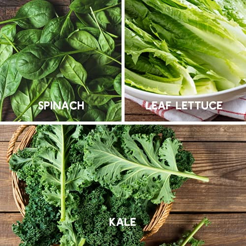 7 Varieties of Leafy Power Green Seeds for Planting - Non-GMO Heirloom ...