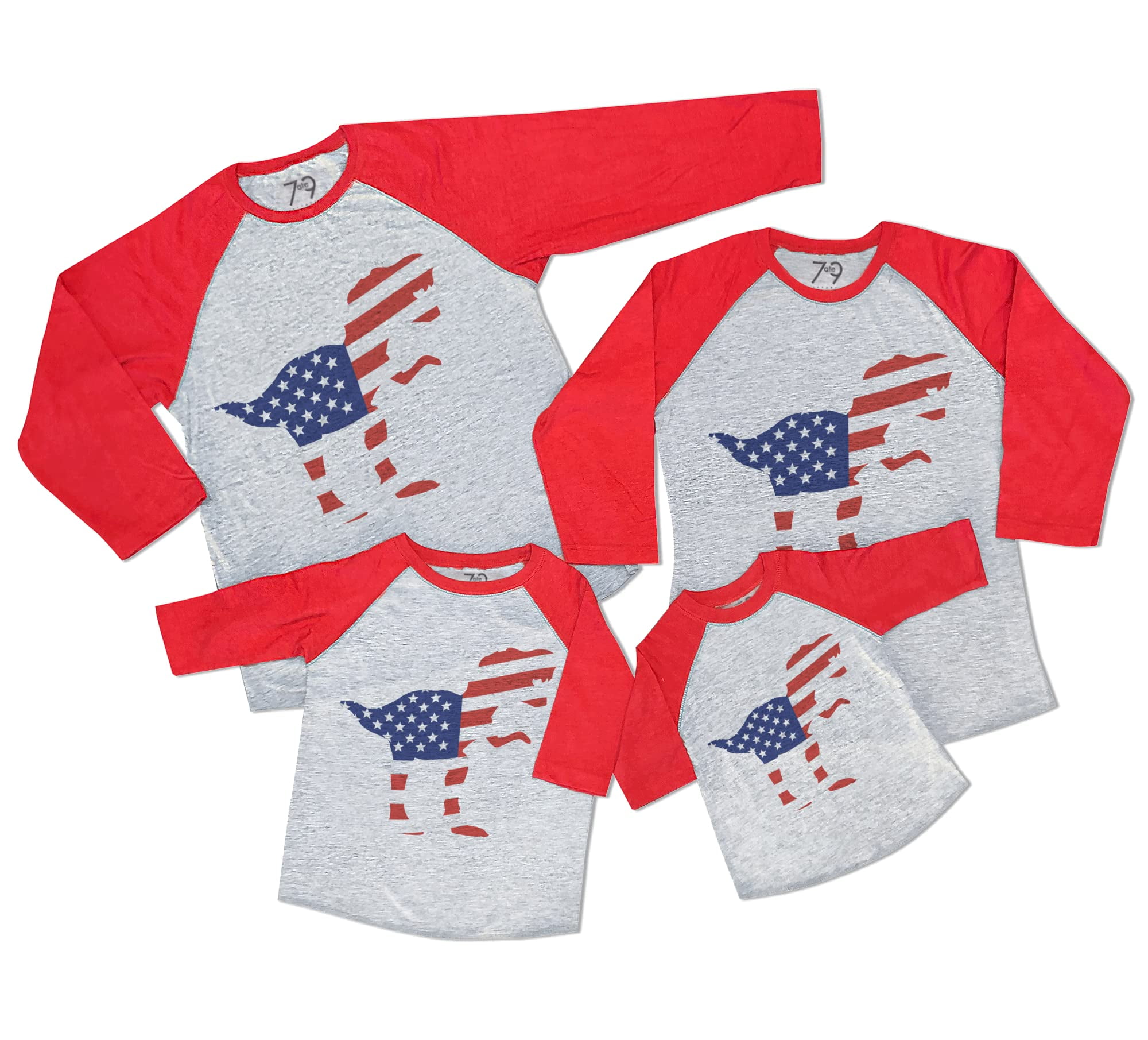 7 ate 9 Apparel Matching Family 4th of July Shirts - Dinosaur Flag ...