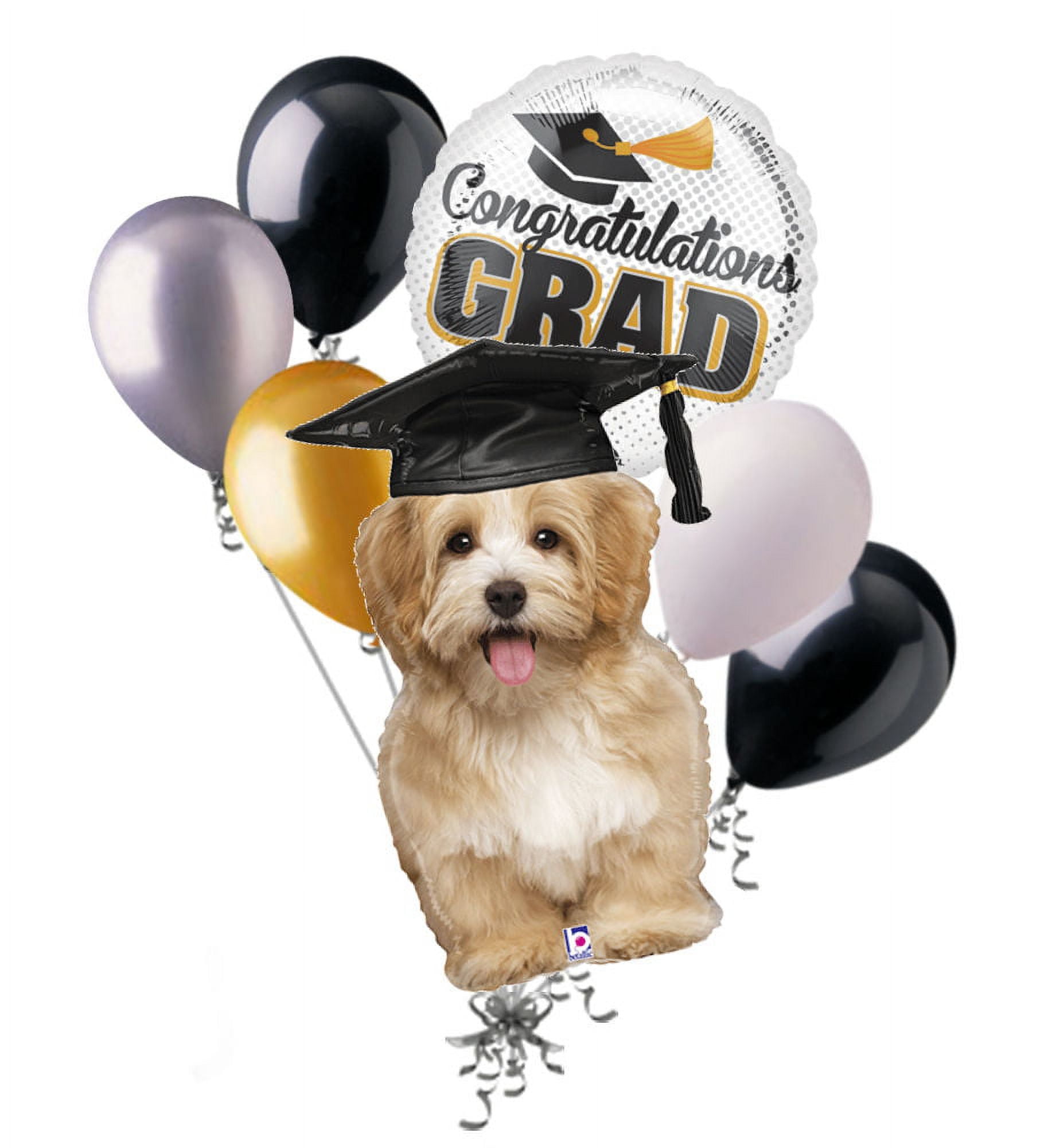 Congratulations Puppy