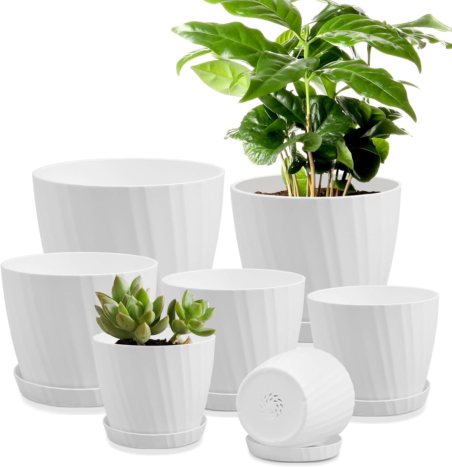 7 pcs Plant Pots with Drainage Holes and Saucers, Indoor Planters, Set ...