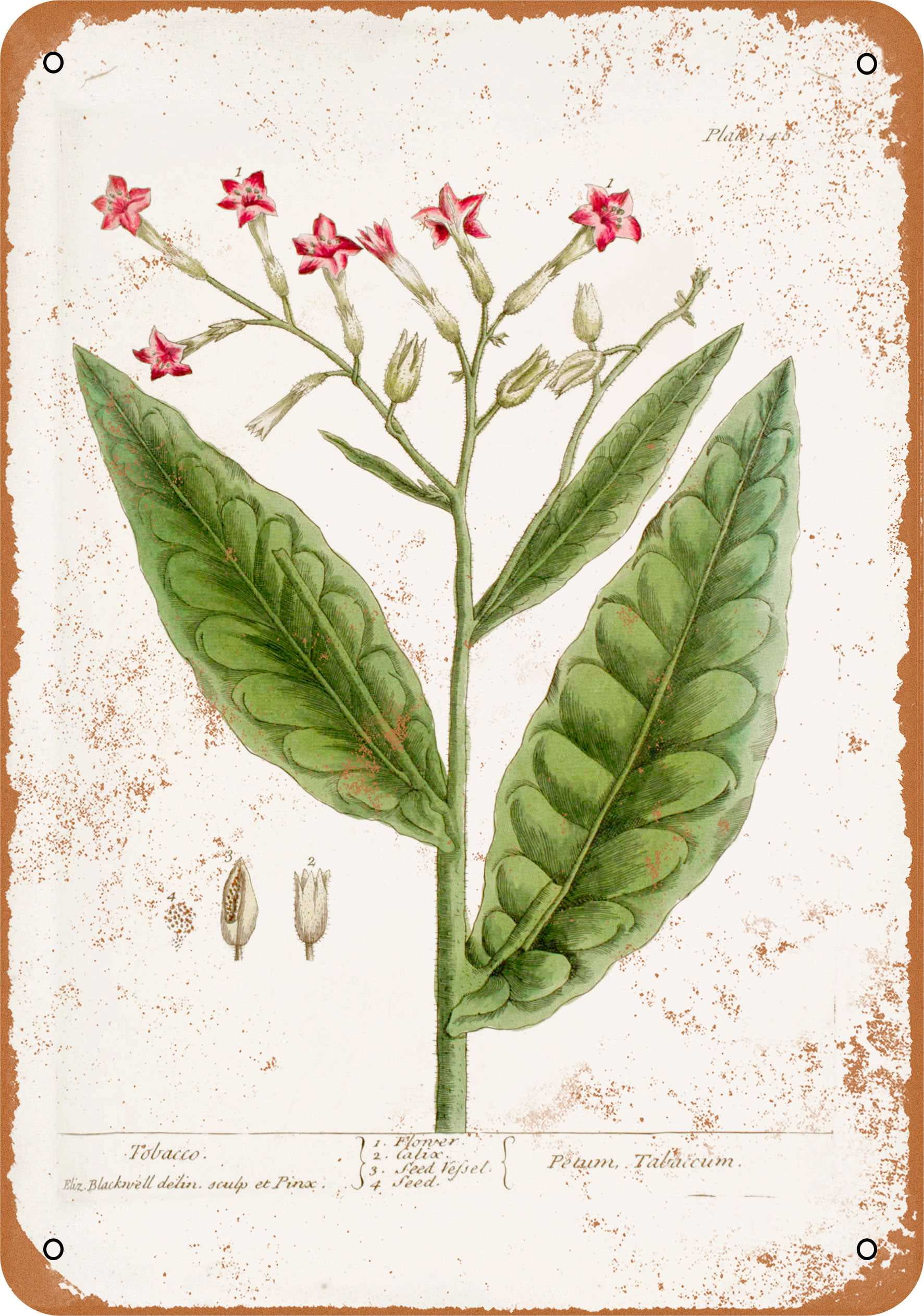 7 x 10 METAL SIGN - 1737 Tobacco Botany Plate - Vintage Rusty Look ...