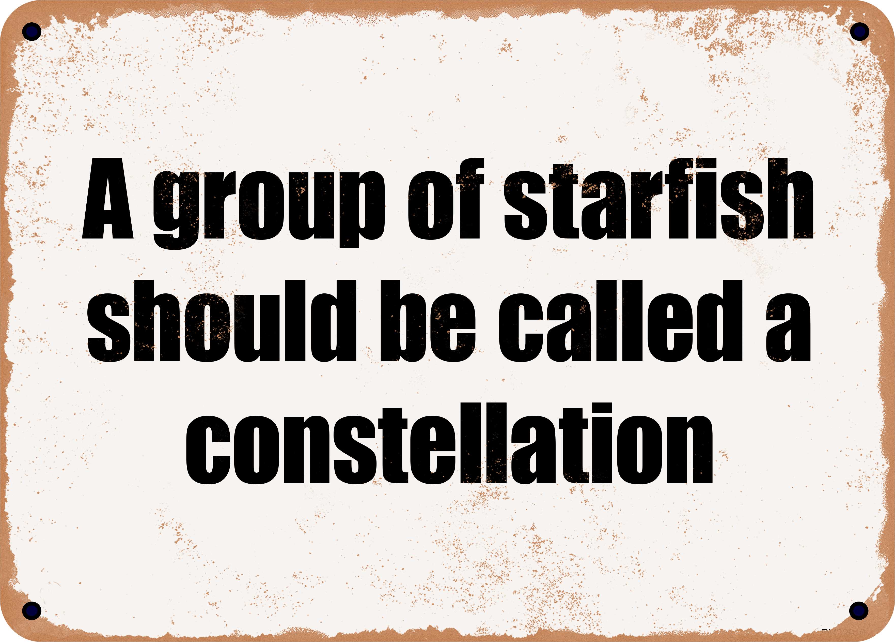 7 x 10 Metal Sign - A group of starfish should be called a ...