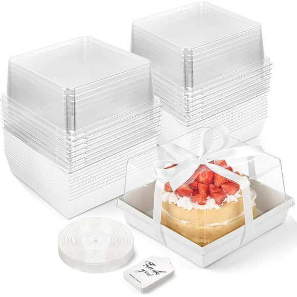 Disposable Plastic Bundt Cake Containers
