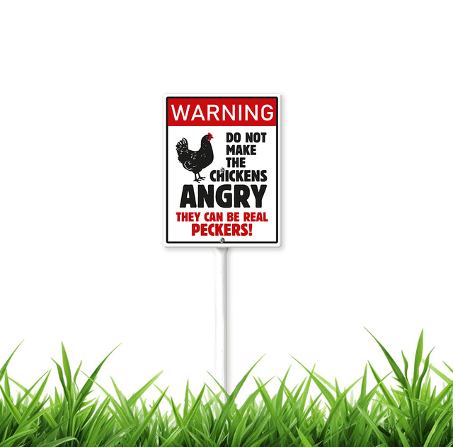 7 X 8 8 Inch Chicken Decor Warning Do Not Make The Chickens Angry Yard