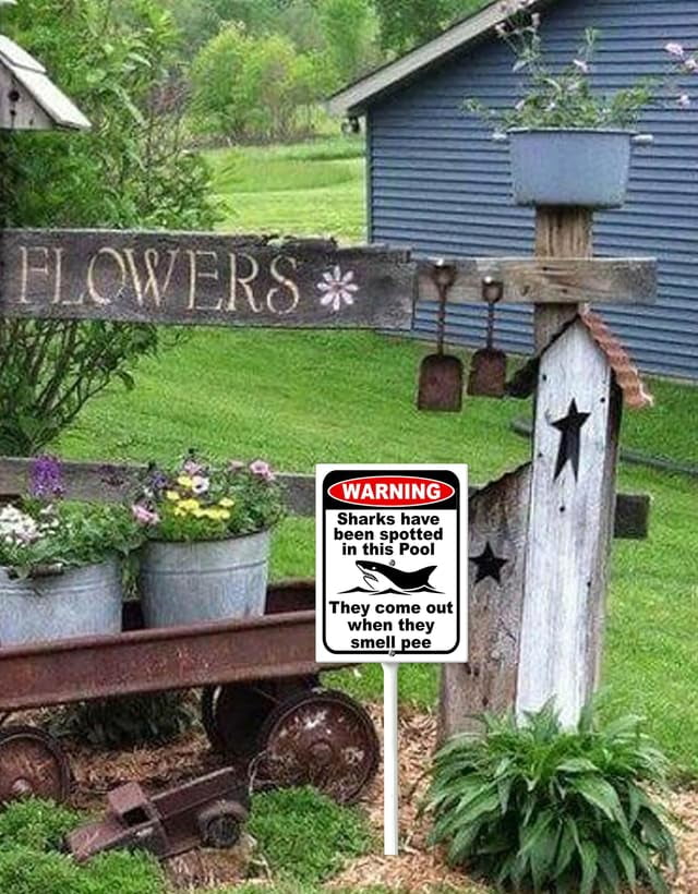 7 x 8.8 inch warning Sharks have been spotted in this Pool - They come ...