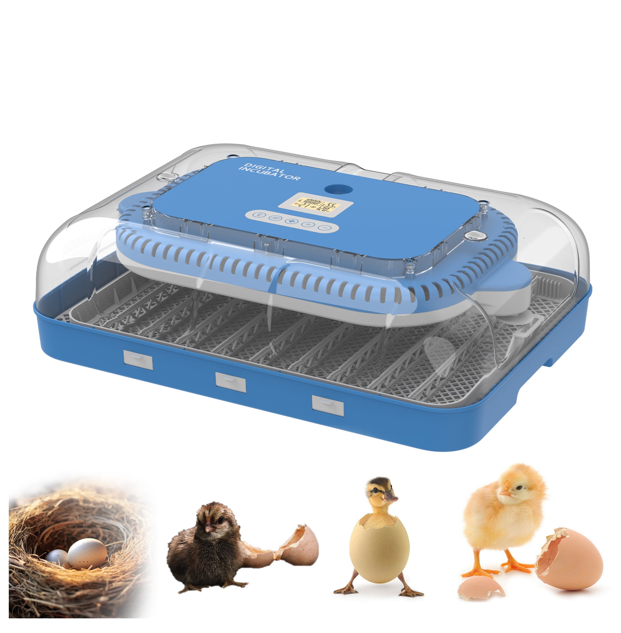 70 Egg Incubator with Automatic Turning & Humidity Control – Digital ...