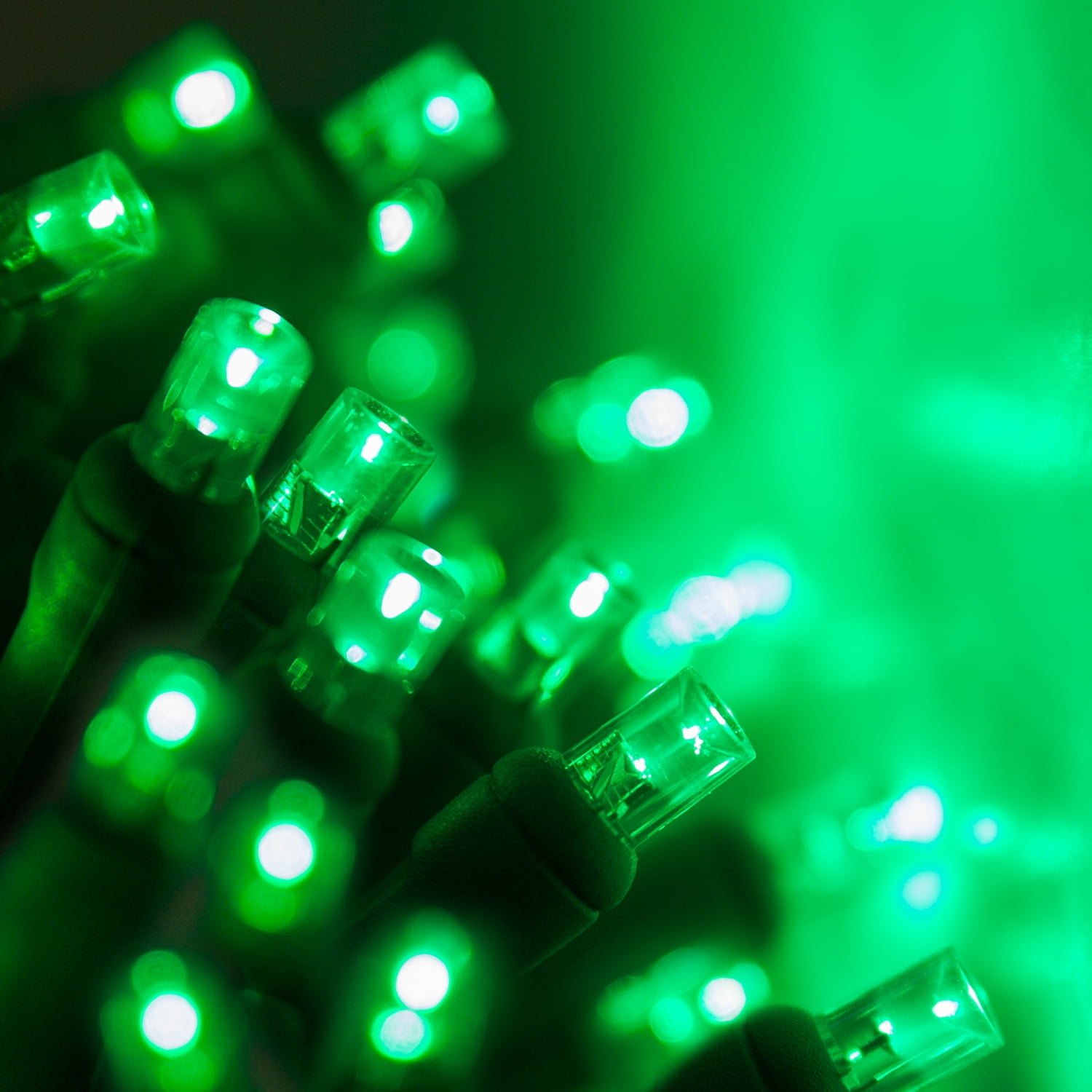 "Wintergreen Lighting 70 Green LED Mini Outside Christmas Lights, Long ...