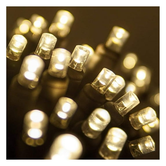 70 LED Christmas Lights 24ft Warm White, Indoor/Outdoor String Lights ...