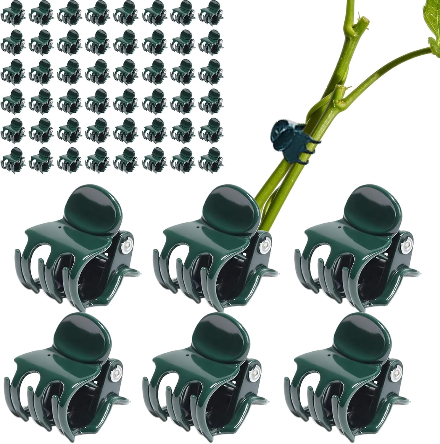 70 Pcs Plant Clips Orchid Plants Support Flower Vine for Supporting ...