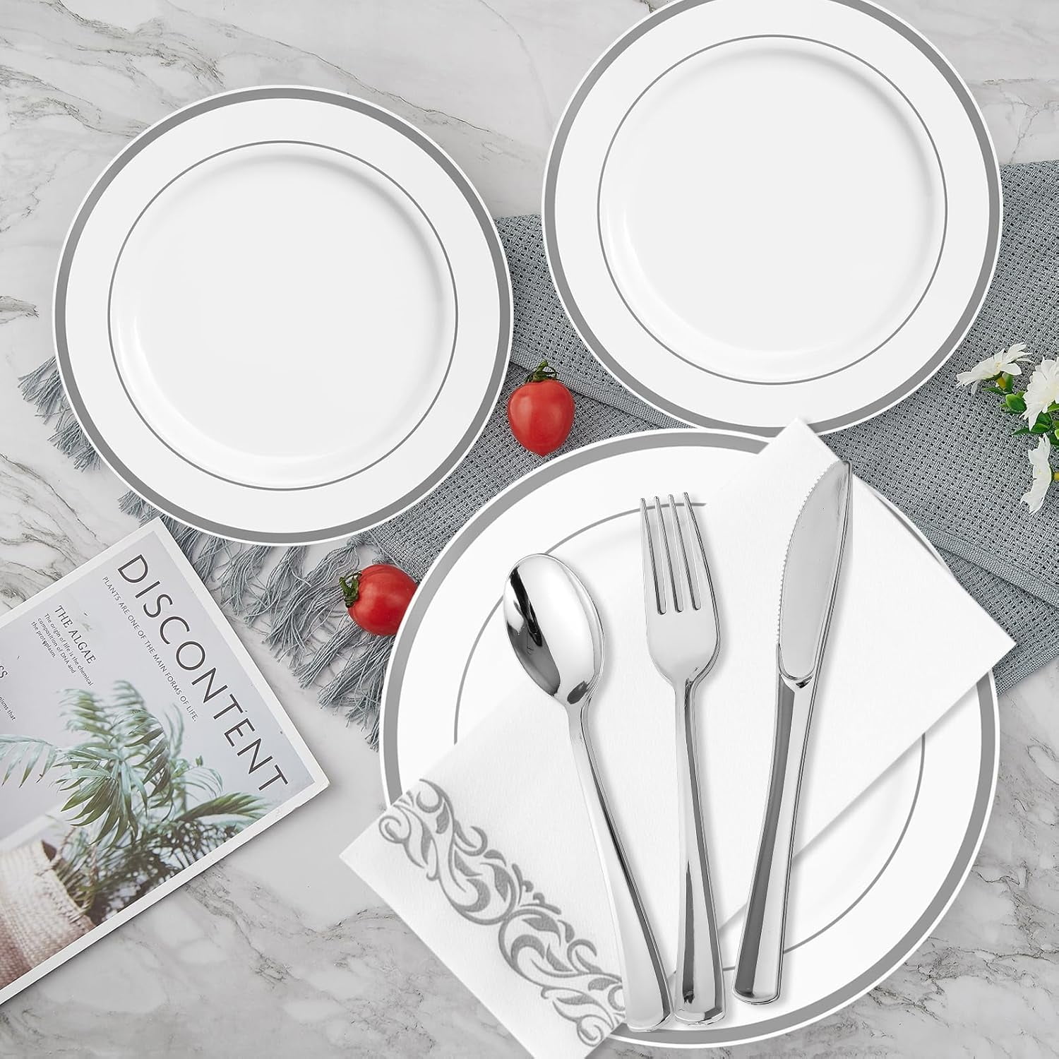 700 Count Silver Dinnerware Set-200 White and Silver Plastic Plates-Set ...