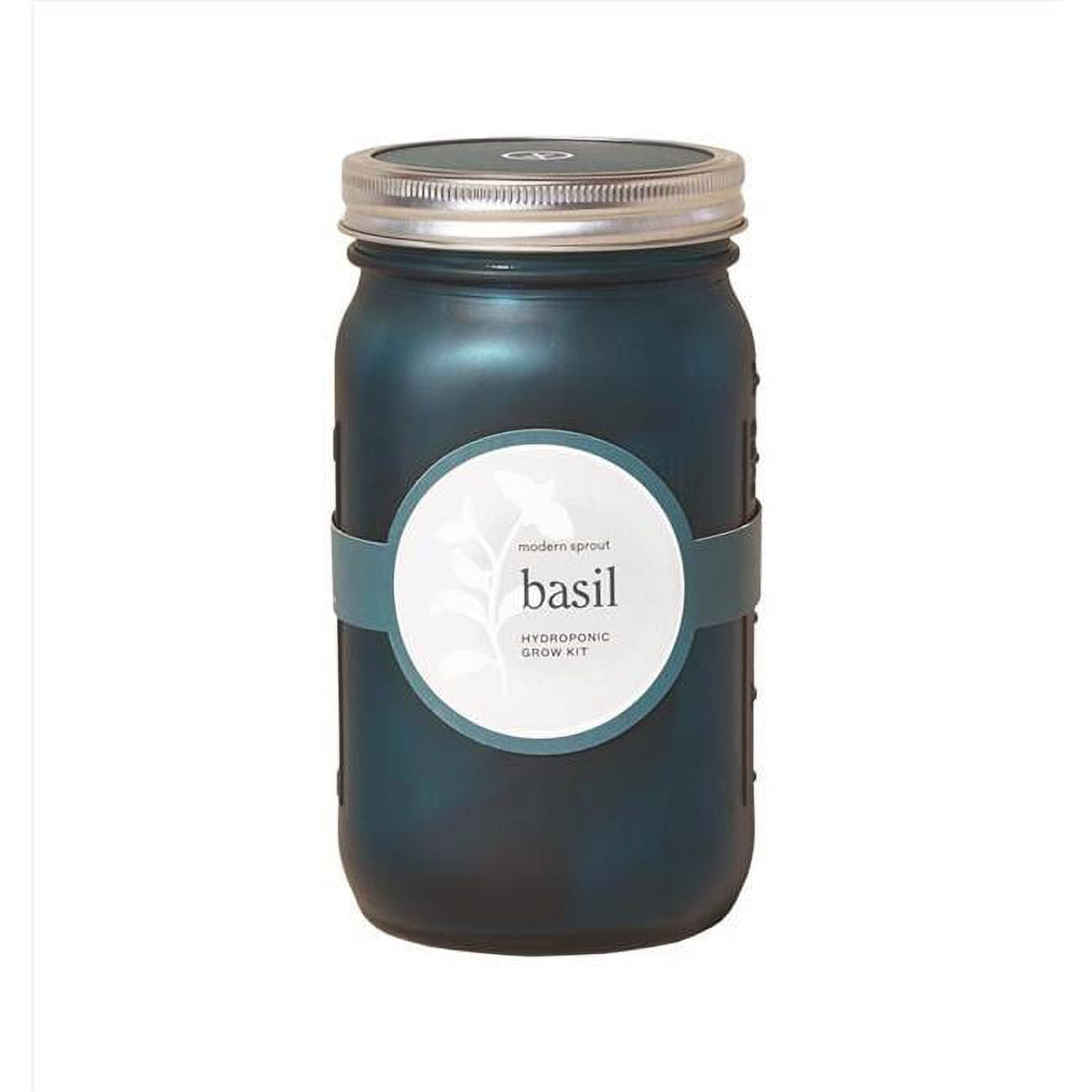 7006068 GROW KIT BASIL JAR Modern Sprout Basil Grow Kit (Pack of 1 ...