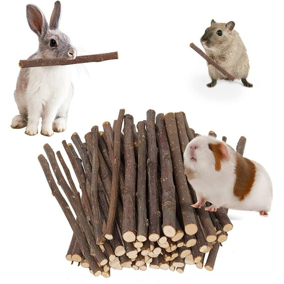 700g Apple Sticks Molar Wood Treats, Rabbit Toys Chinchilla Guinea Pig ...