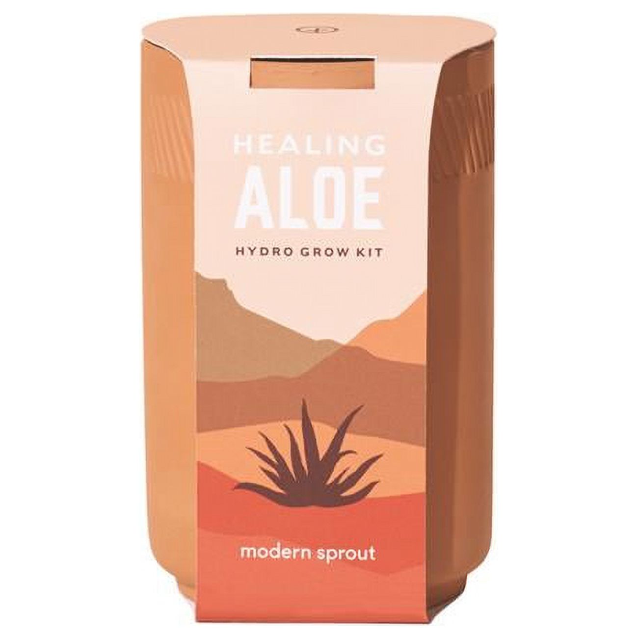7021666 SEED STARTER KIT Modern Sprout Healing Aloe Succulent Seed ...