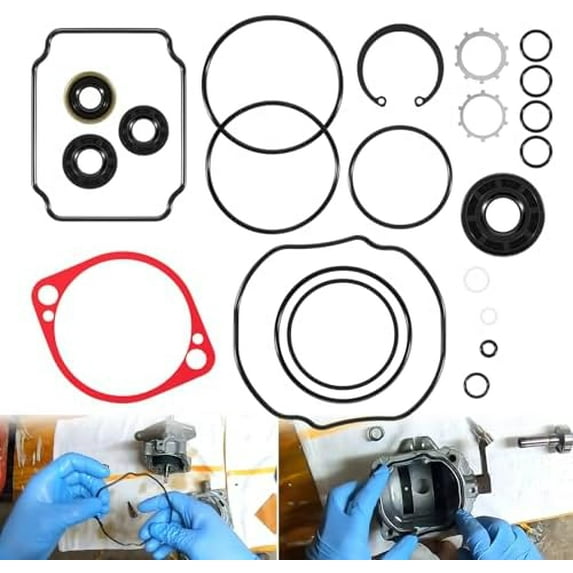 70525 BDP-10A Pump Overhaul Seal Kit with Seals & Gaskets, for Hydro ...