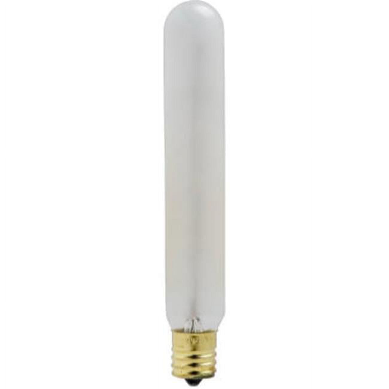 70883 25 Watts T6.5 Frosted Tubular Light Bulb, Pack Of 6 - Walmart.com