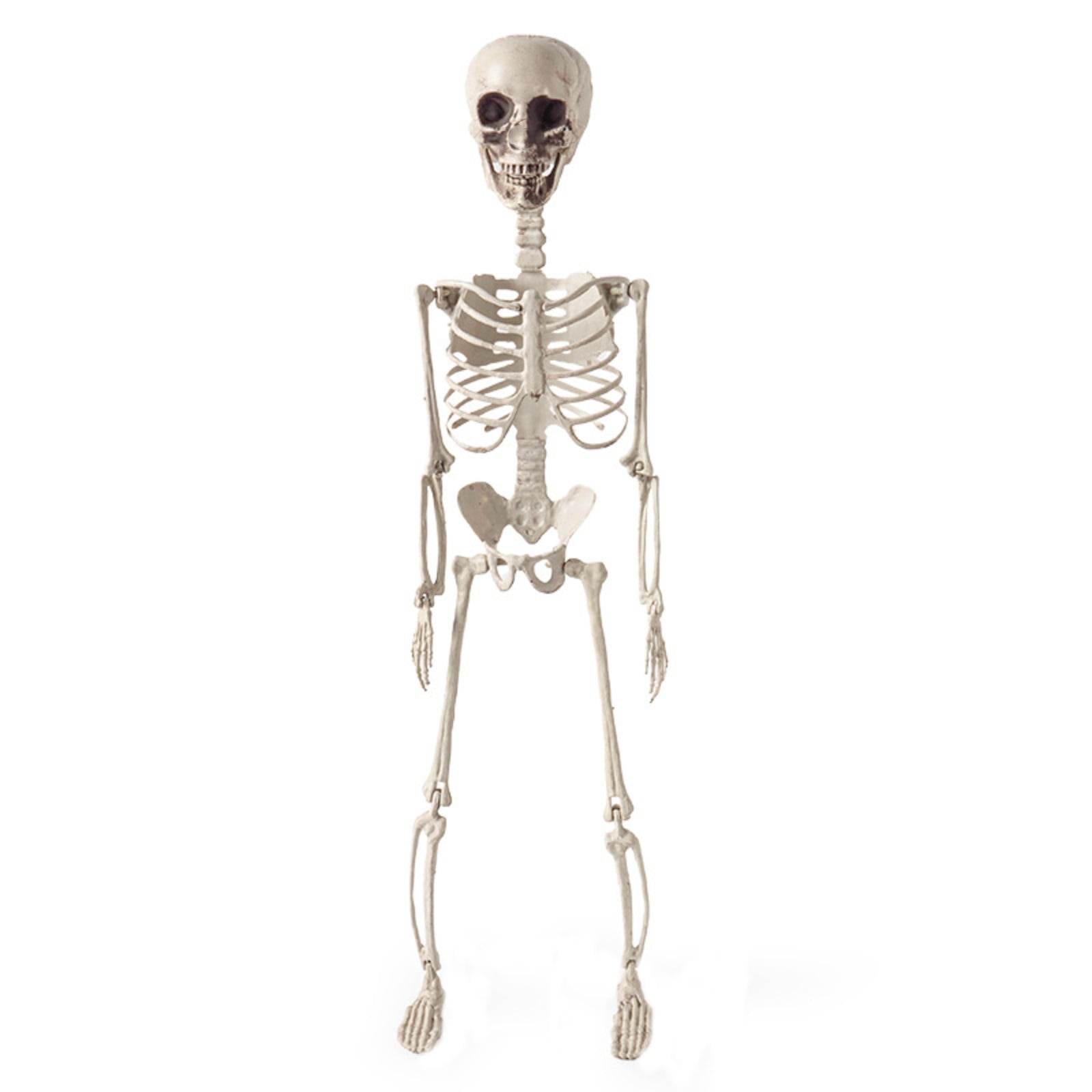 70Cm Halloween Skeleton Prop, Human Full Size Skeleton Body Structure ...