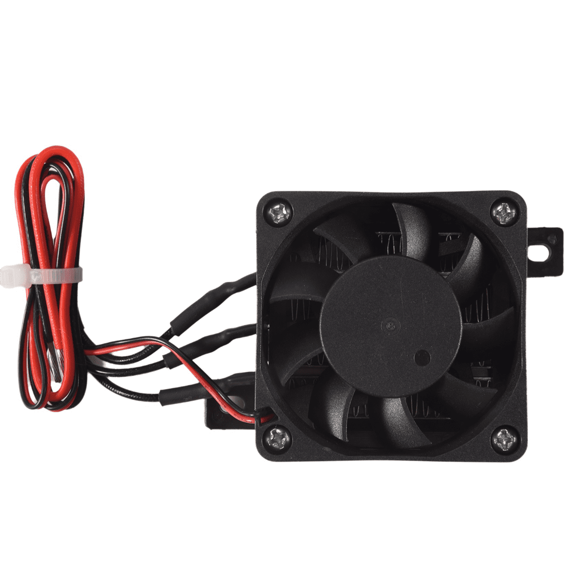 70W 12V Heater DC Fan Thermostatic Egg Incubator PTC Heating Elements ...