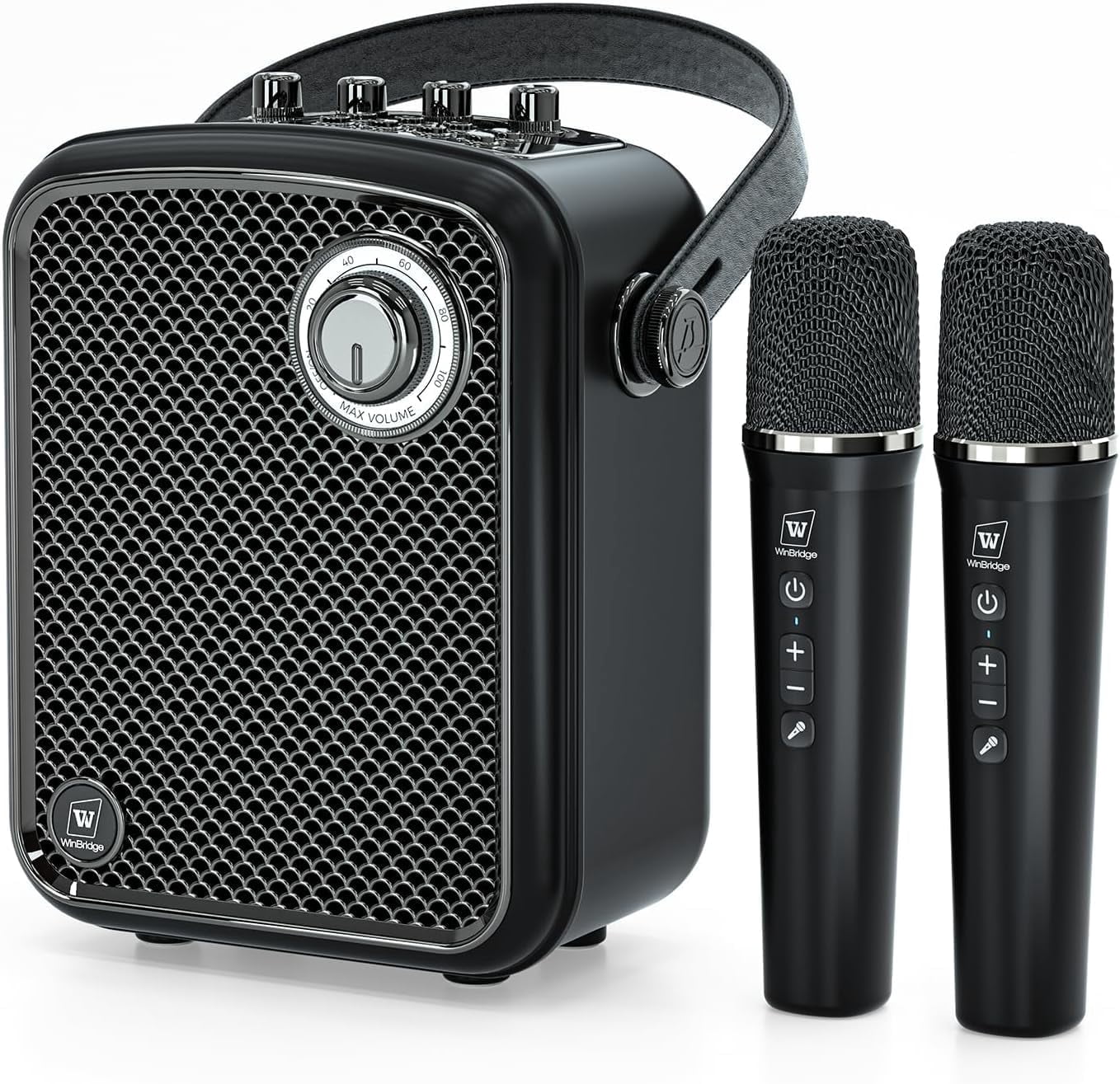 HW HAOWORKS, Portable Speaker with Mic, S100Pro, 70W Voice Amplifier ...