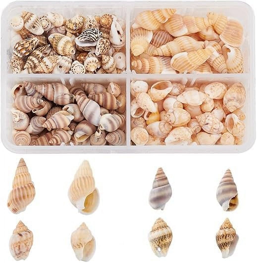 70g/330pcs 4 Styles Spiral Shells Ocean Beach Conch Seashells with Hole and No Hole for Bracelet ...