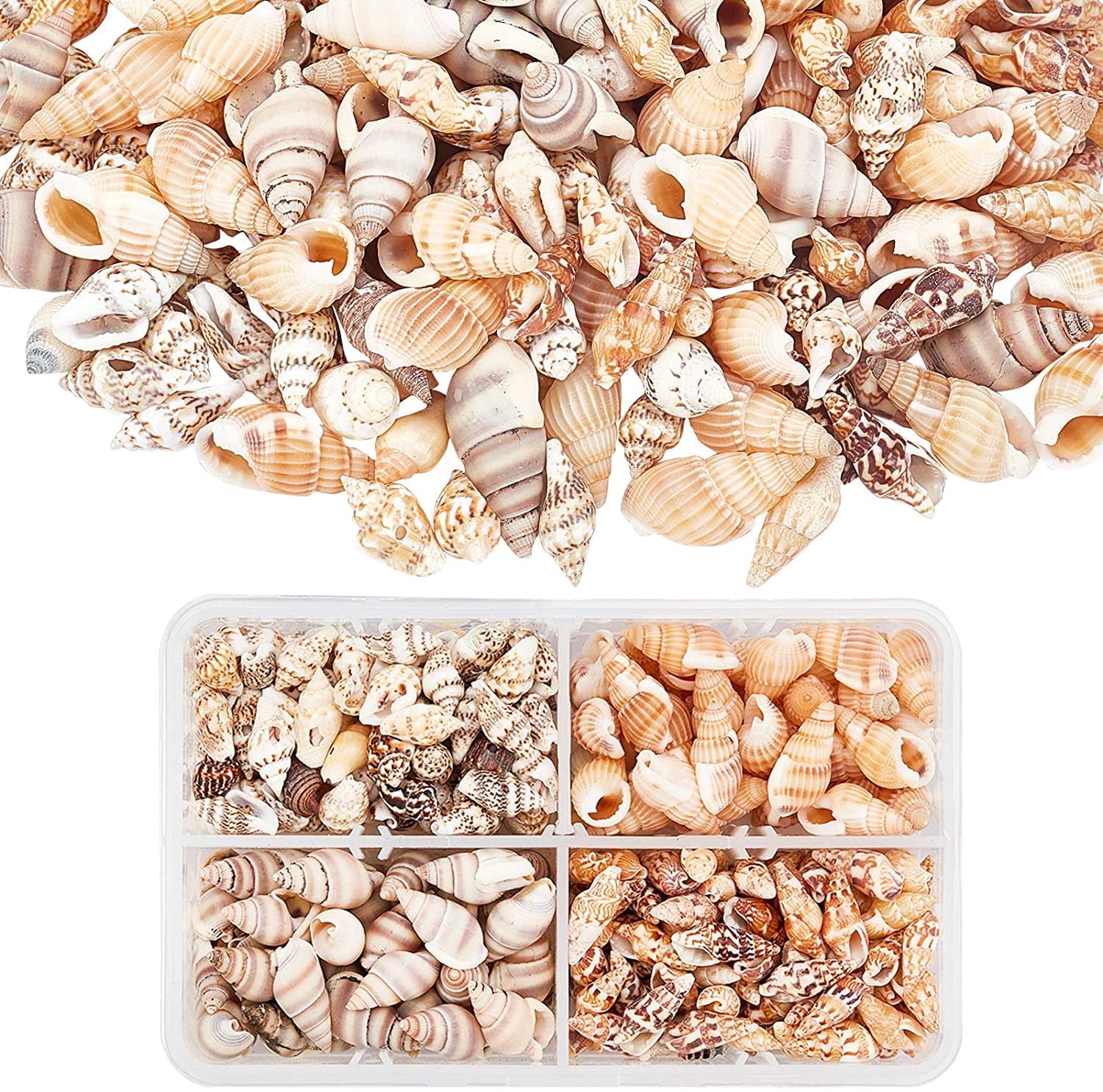 70g/330pcs 4 Styles Spiral Shells Ocean Beach Conch Seashells with Hole ...
