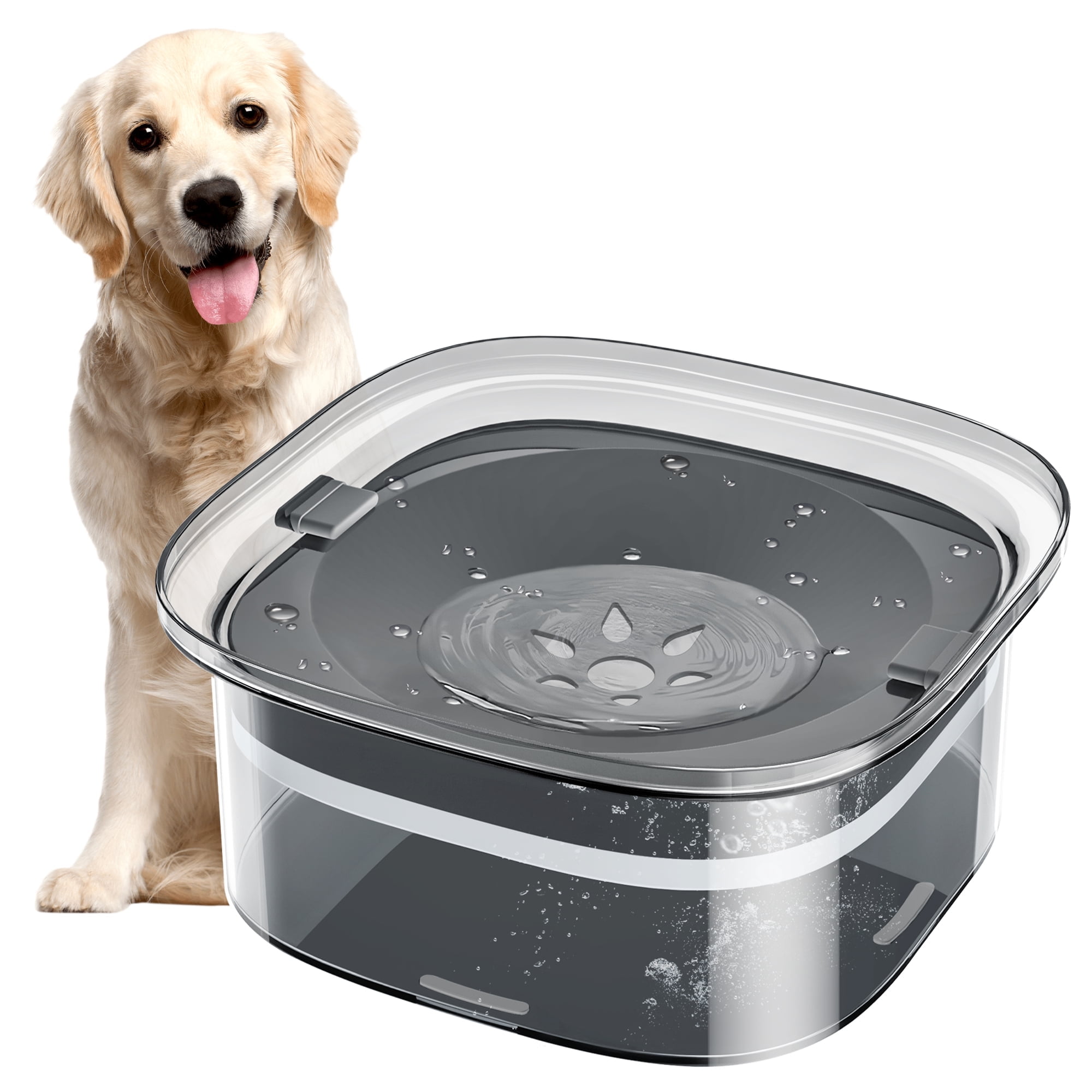 Dog Bowl Full Of Water