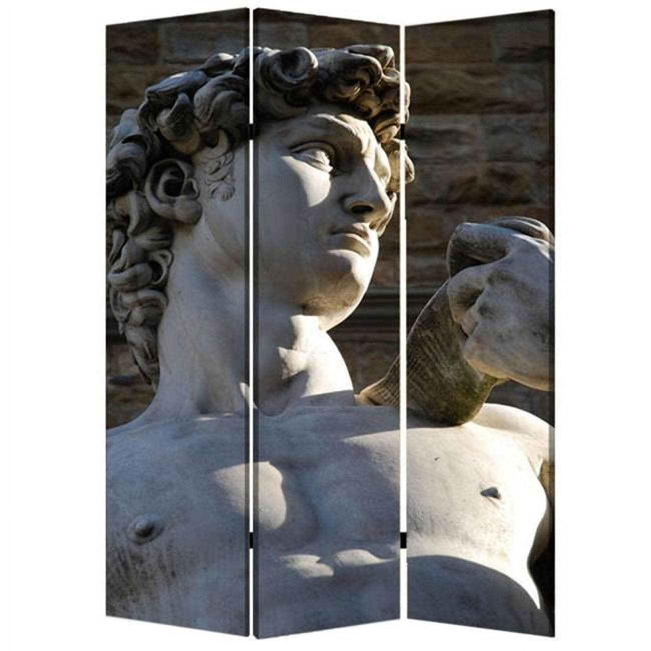 71 in. Brar Michelangelos David Print 3 Panel Canvas Screen, Multi ...