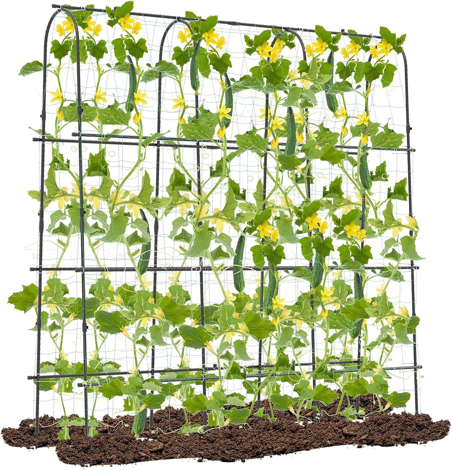 71" x 71" Cucumber Trellis for Raised Bed, Garden Arch Trellis Metal ...