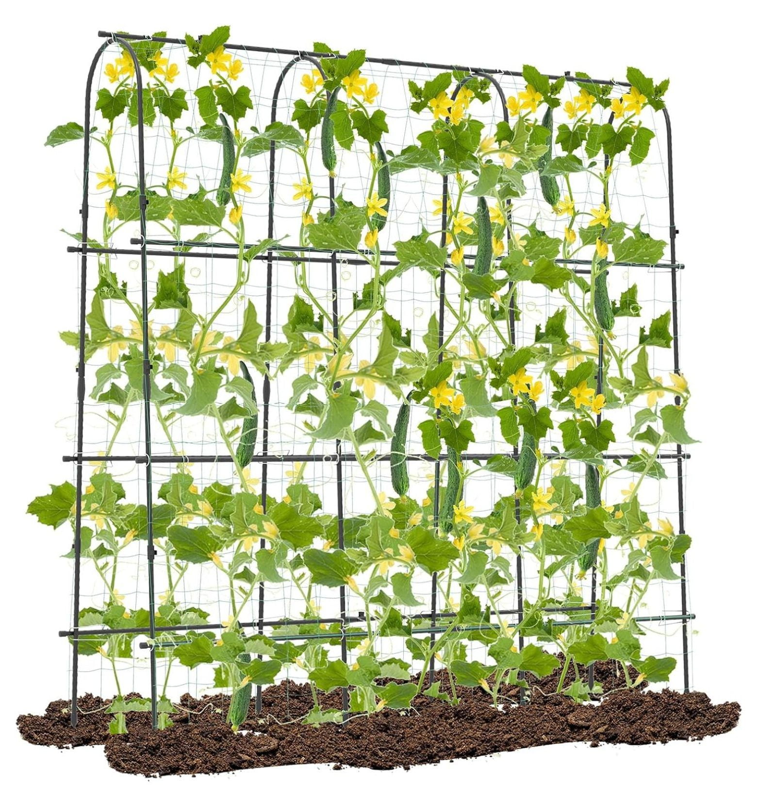 71" x 71" Cucumber Trellis for Raised Bed, Garden Arch Trellis Metal ...