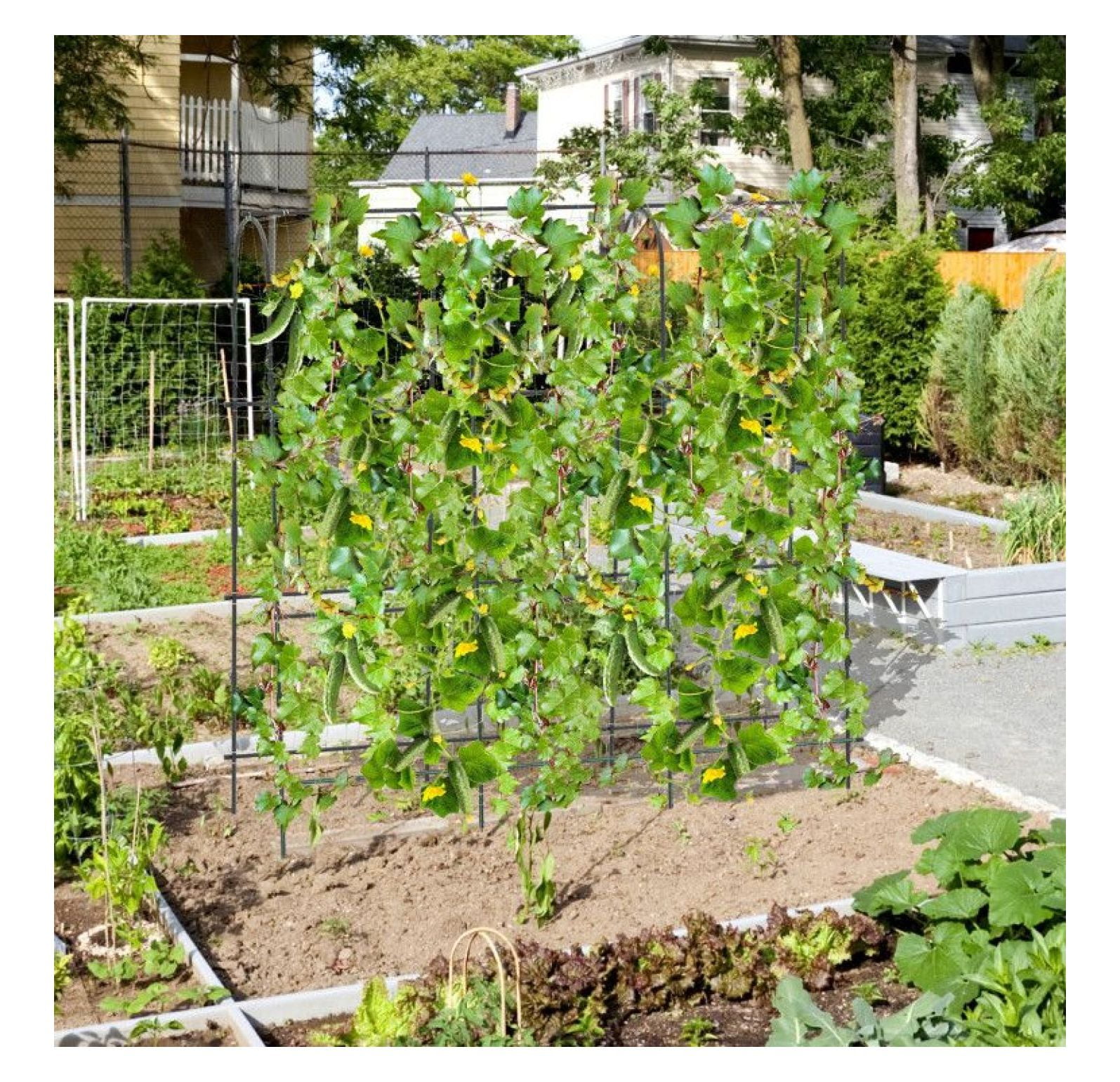 71 x 71 Inch U-Shaped Tall Garden Arched Trellis for Climbing Plants ...