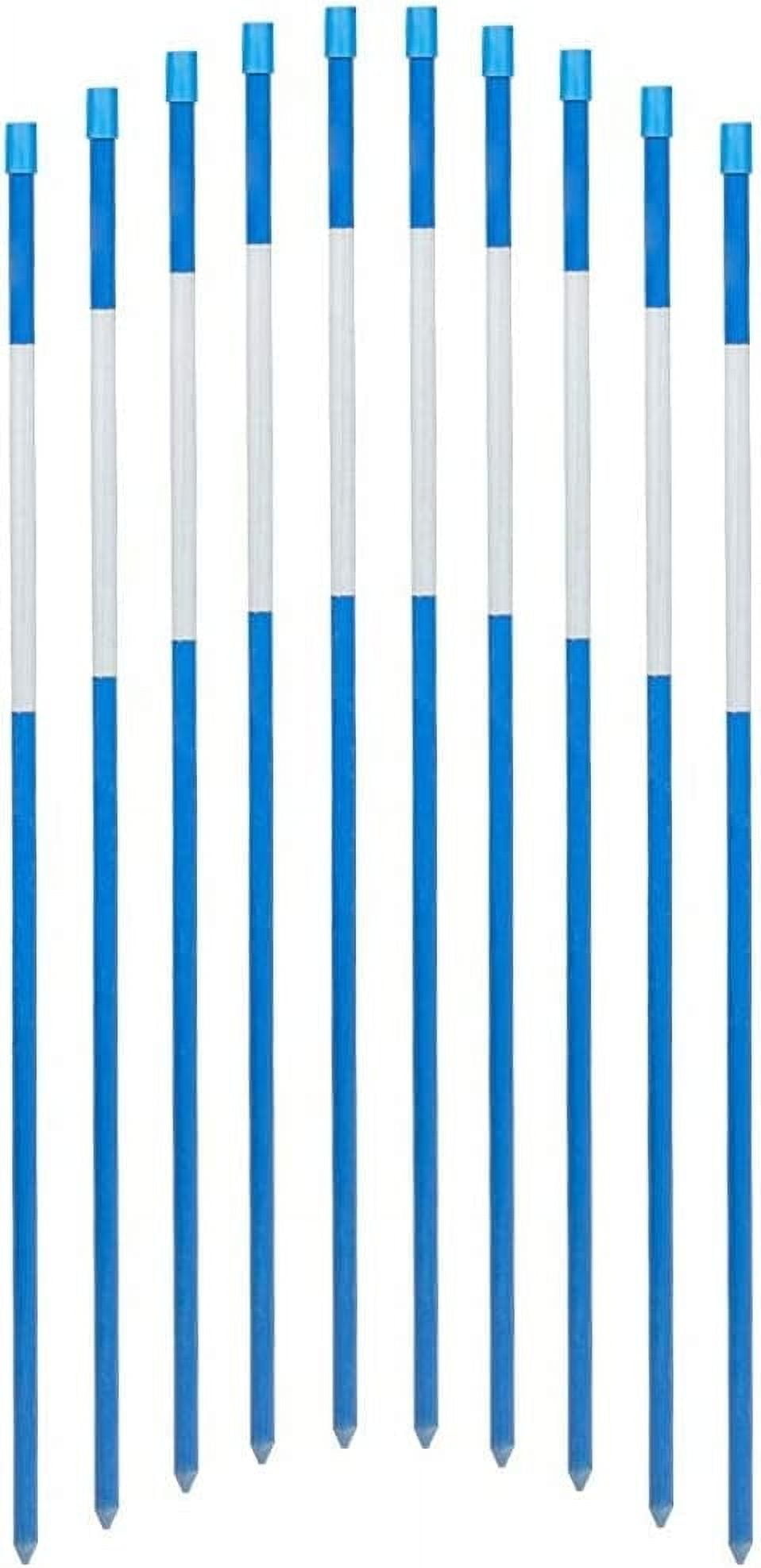 72-Inch Snow Markers Driveway Reflectors Snow Stakes 20-Pack 5/16-Inch (Dia.), Blue - Walmart.com