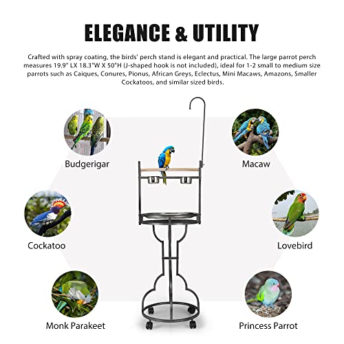 72" Parrot Stand Large Bird Playstand, Wood Parrot Perch with Easy Grip ...