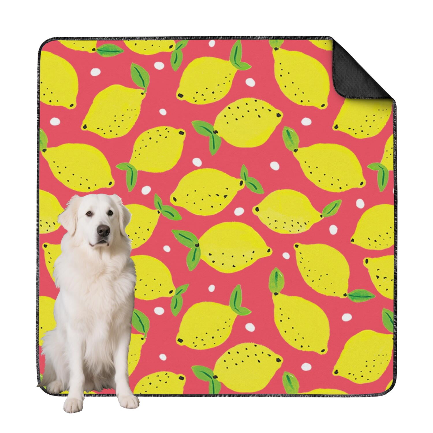 72"x72" Extra Large Washable Pee Pads with Fruit Patterns, Reusable Non ...