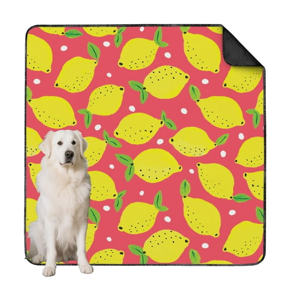 72"x72" Extra Large Washable Pee Pads with Fruit Patterns, Reusable Non ...