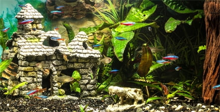 72X24IN, Aquarium Background, River Bed & Lake Aquatic Plant Fish Tank ...