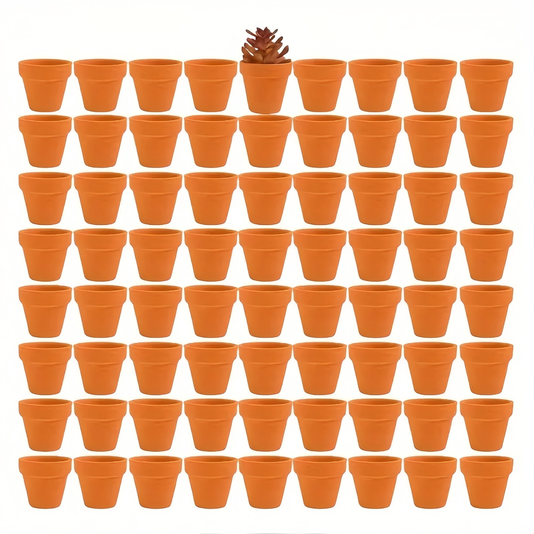 72pcs Mini Terra Cotta Pots with Drainage Holes - 1.9" Classic Floral ...