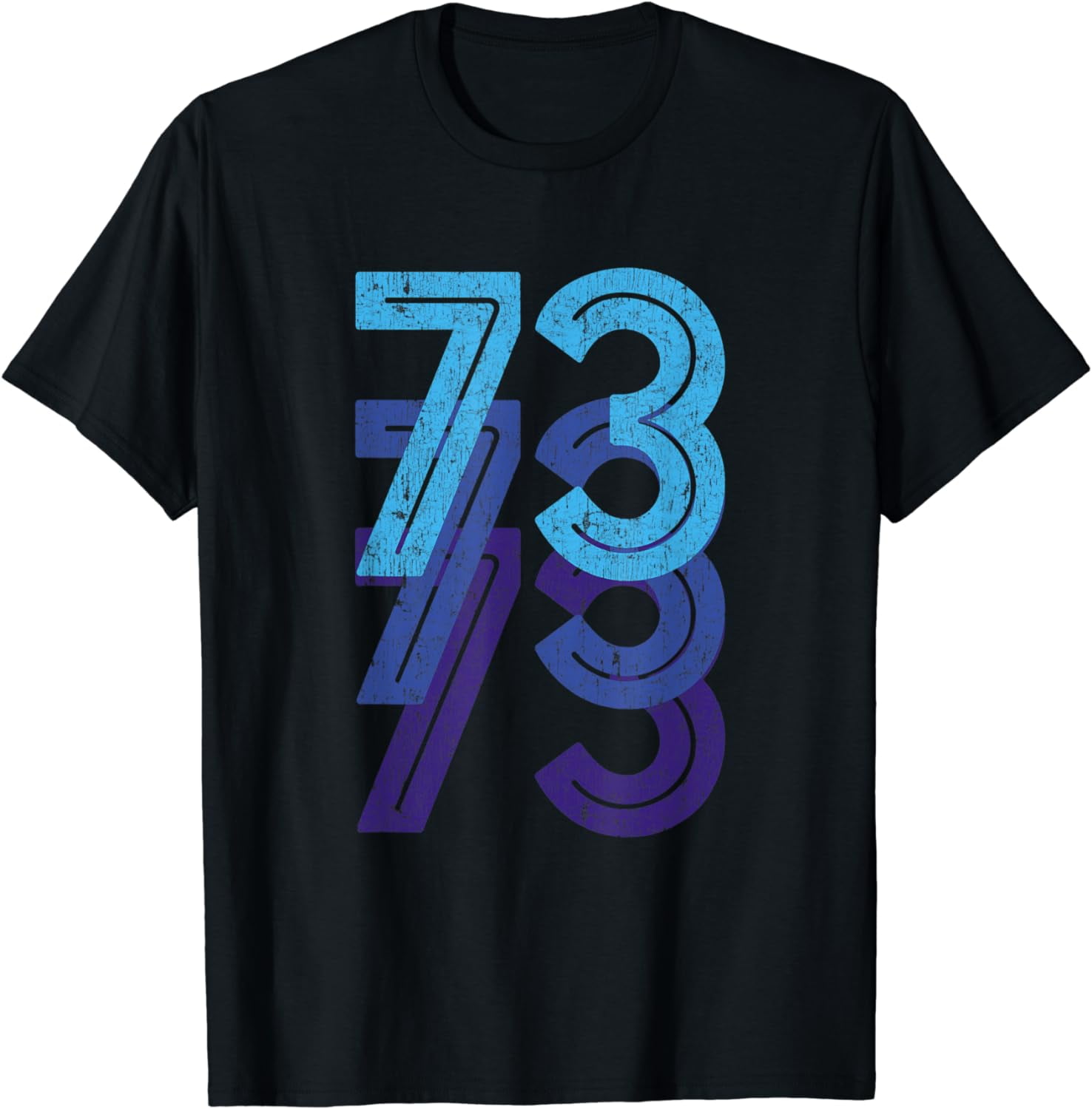 73 Lucky Number 73rd Year Birthday Age Sports Team T-Shirt - Walmart.com